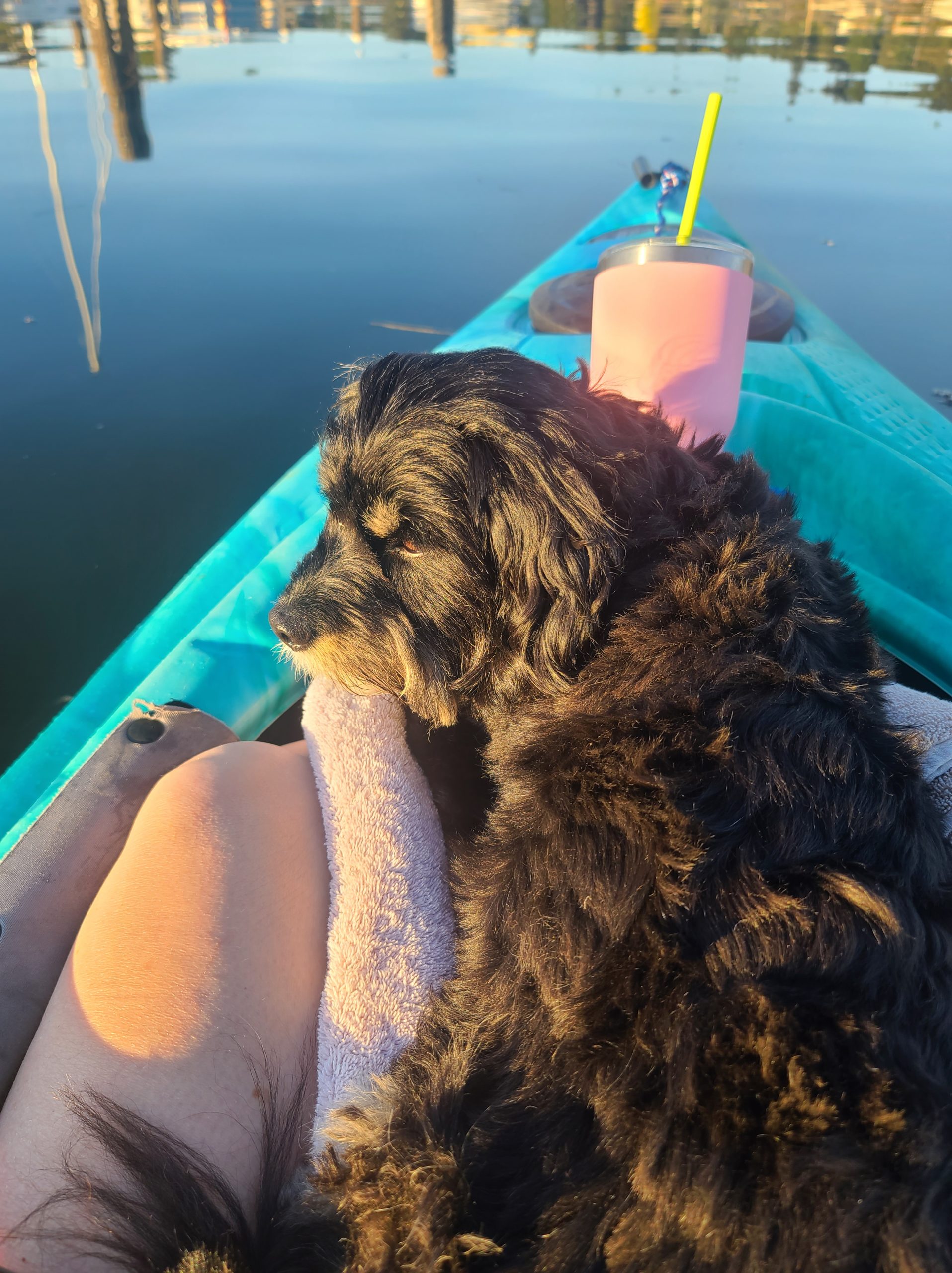 Exploring the Puget Sound by Boat - Shiplap and Shells