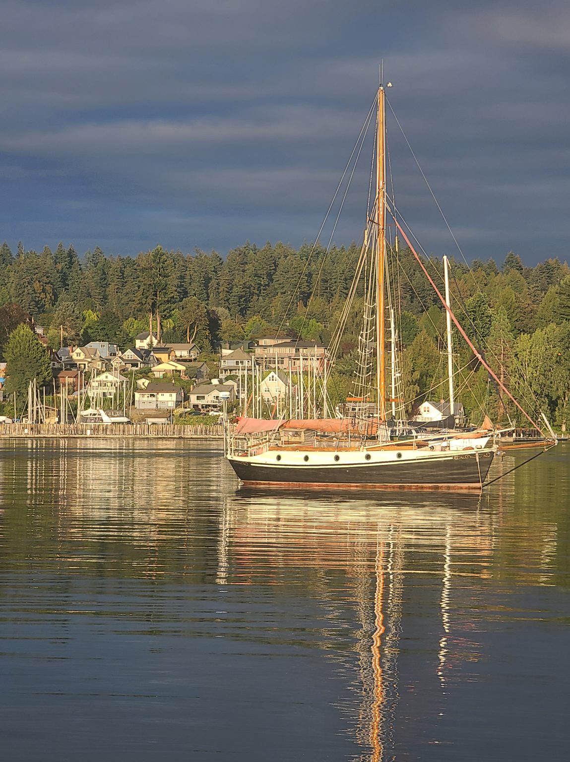 Exploring the Puget Sound by Boat - Shiplap and Shells