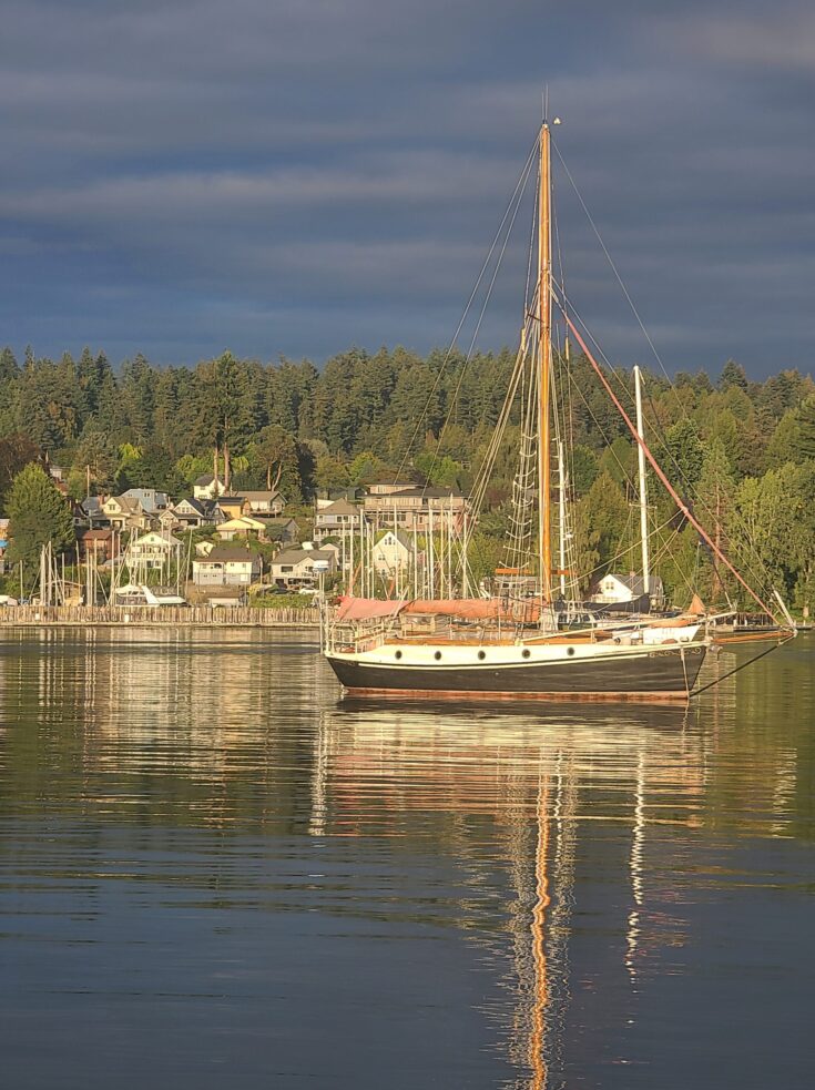 Exploring the Puget Sound by Boat - Shiplap and Shells