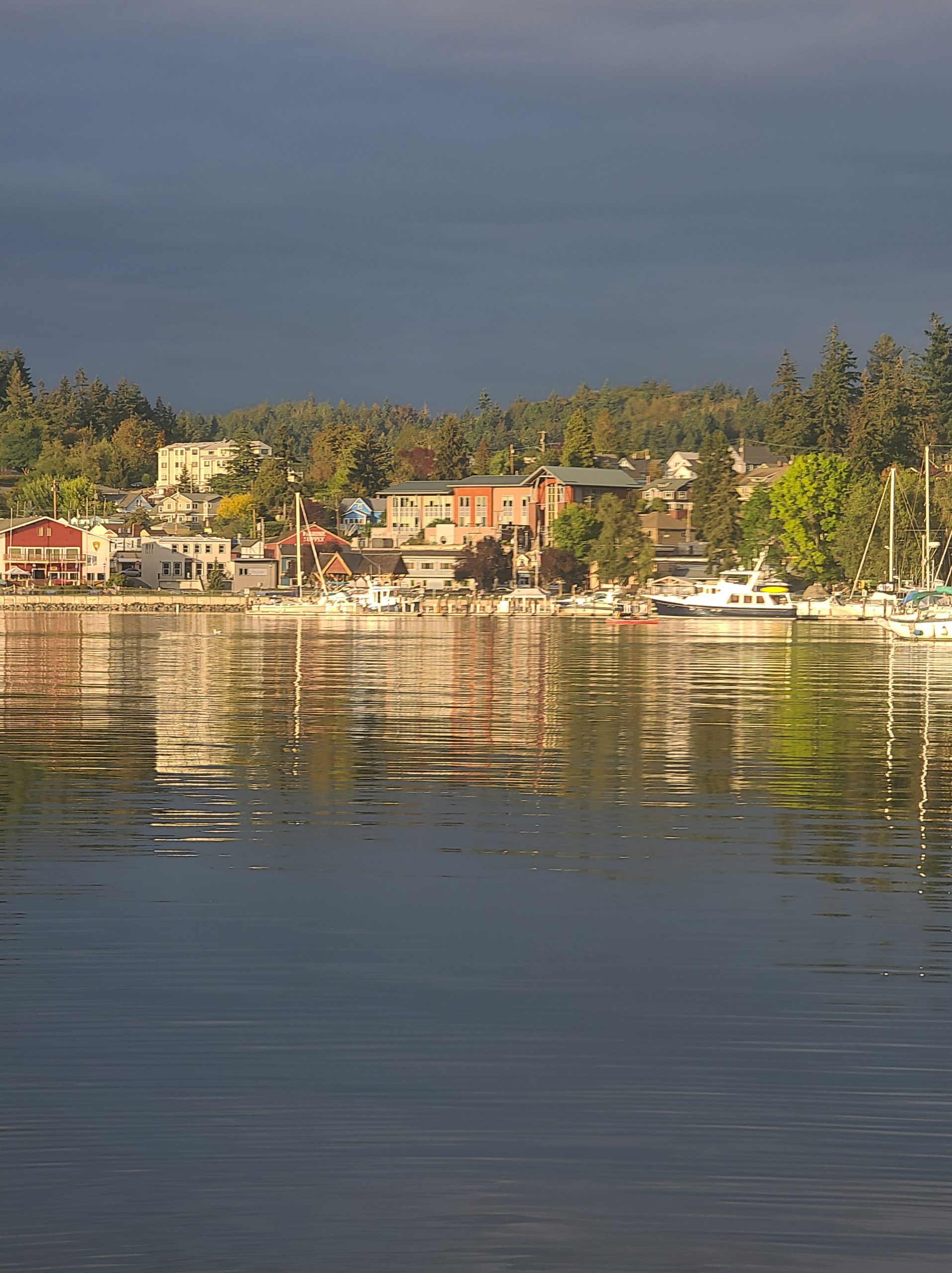 Exploring the Puget Sound by Boat - Shiplap and Shells