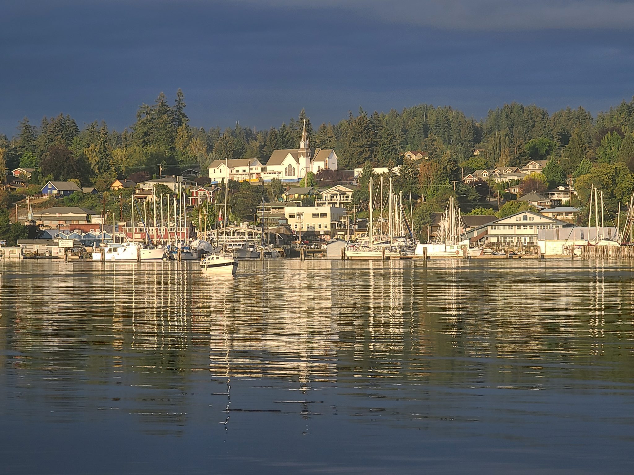 Exploring the Puget Sound by Boat - Shiplap and Shells