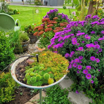 Pacific Northwest Fall Garden Tour - Shiplap and Shells