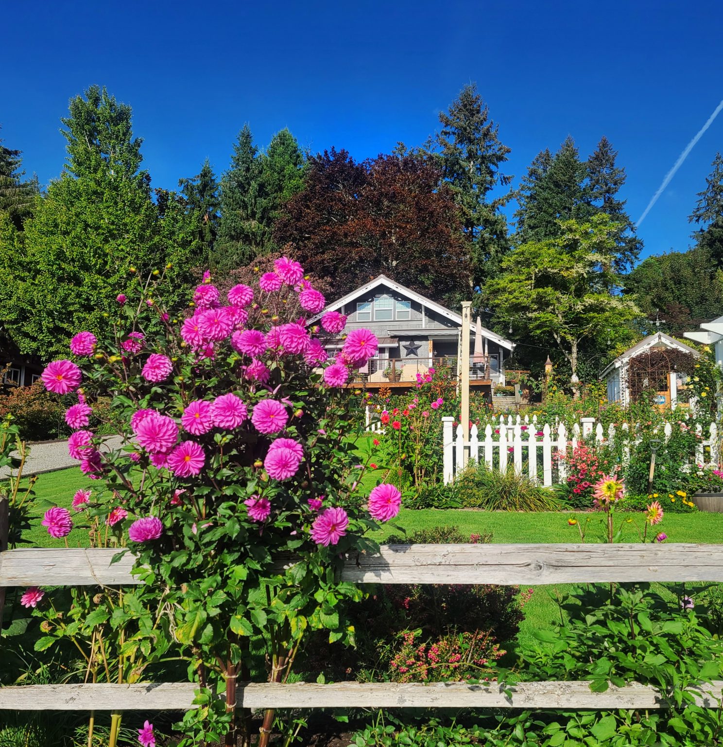 Pacific Northwest Fall Garden Tour - Shiplap and Shells