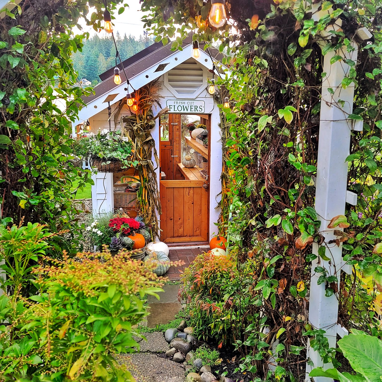 Pacific Northwest Fall Garden Tour - Shiplap and Shells