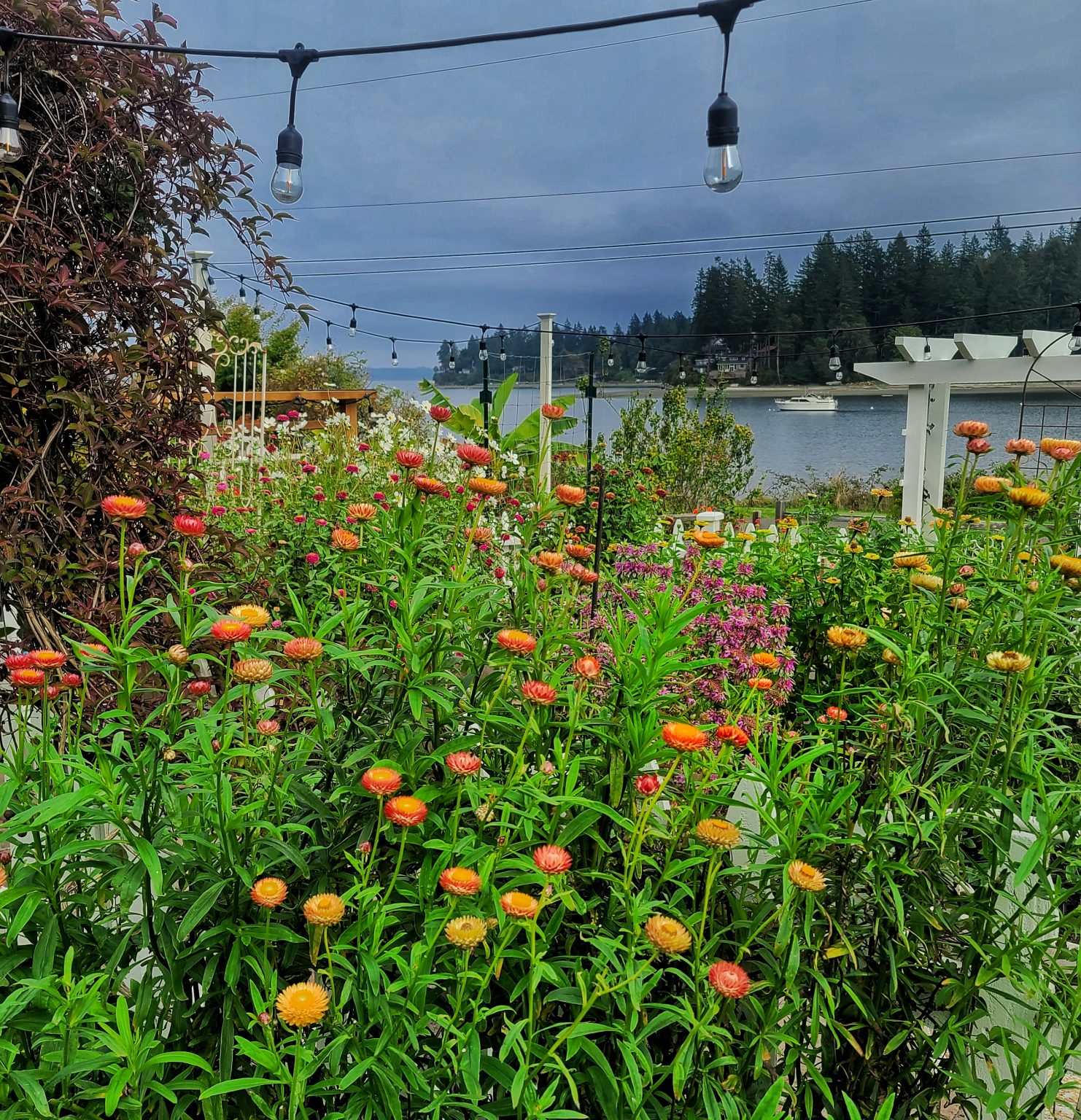 Pacific Northwest Fall Garden Tour - Shiplap and Shells