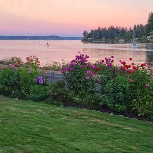 Top Blog Posts of 2020 - Shiplap and Shells