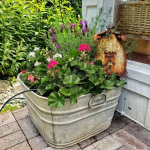Creative Flower Container Ideas For Both Indoors & Out - Shiplap and Shells