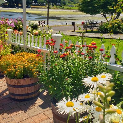 Creative Flower Container Ideas For Both Indoors & Out - Shiplap and Shells