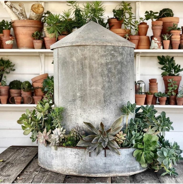 Creative Flower Container Ideas For Both Indoors & Out - Shiplap and Shells