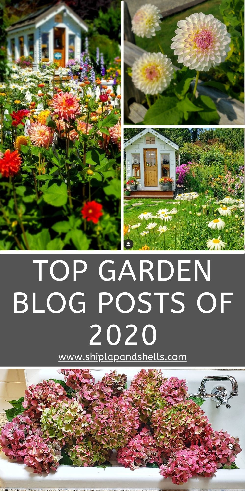 Top Garden Blog Posts of 2020 - Shiplap and Shells