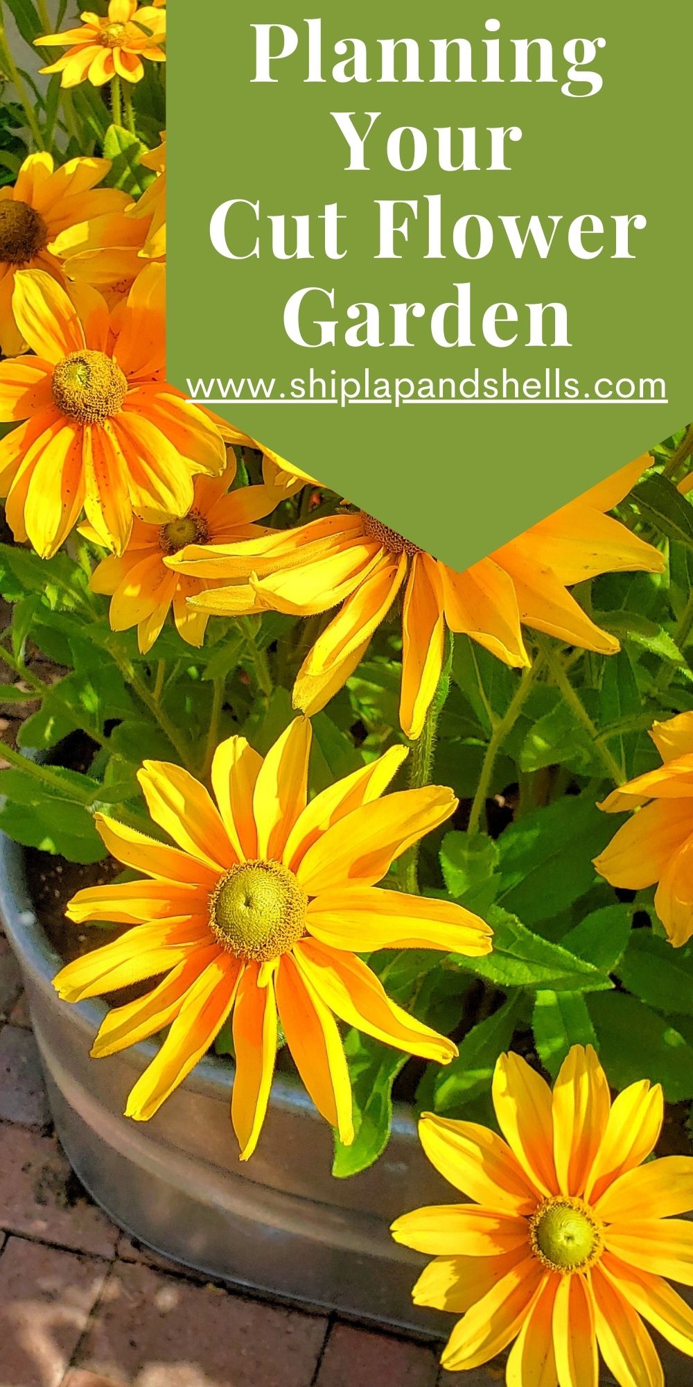 How to Plan Your Perfect Cut Flower Garden This Season with Efficiency ...