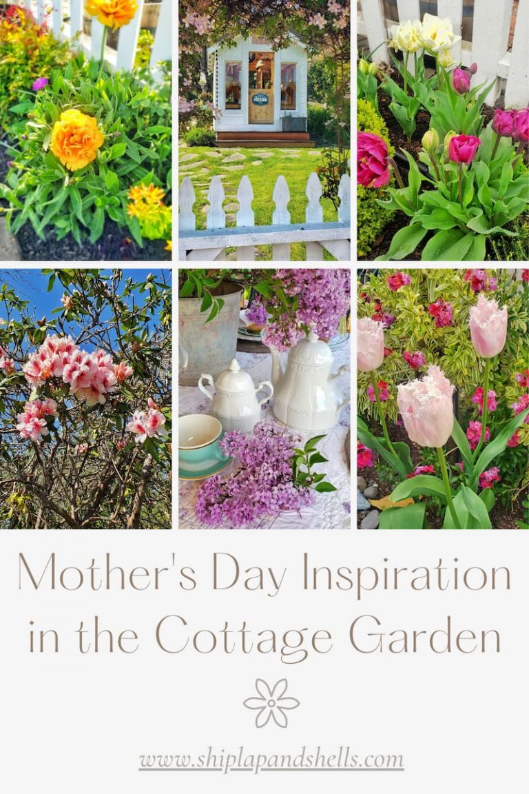 Mother's Day Inspiration in the Cottage Garden - Shiplap and Shells