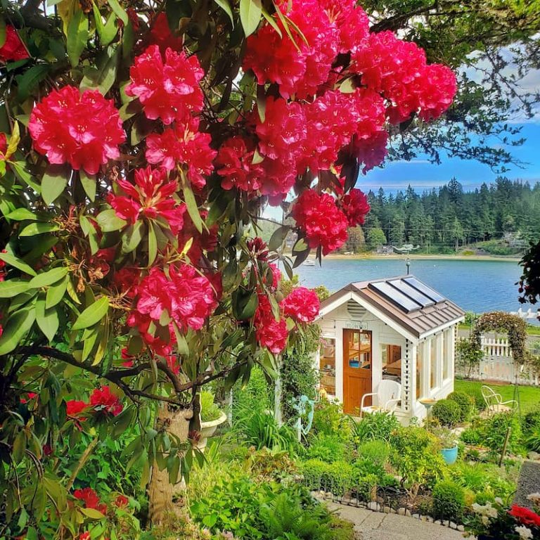 6 Sensational Spring Cottage-Style Garden Tours for Inspiration ...