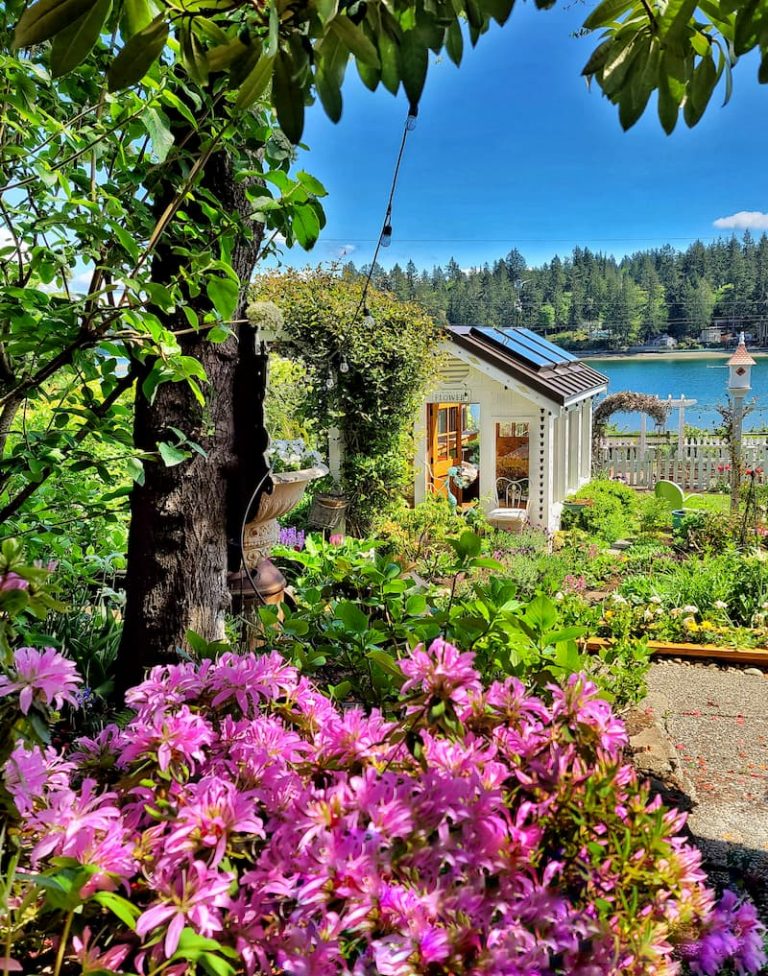 Coastal Cottage Garden and Outdoor Spring Spaces Tour - Shiplap and Shells