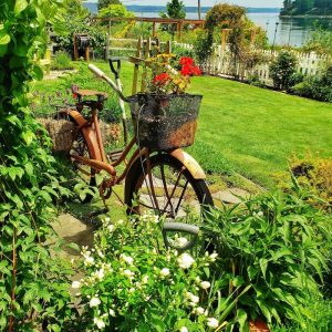 Coastal Cottage Garden and Outdoor Spring Spaces Tour - Shiplap and Shells