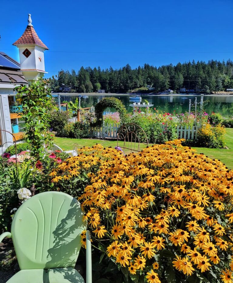 36 Thriving Deer-Resistant Plants for Peace of Mind in Your Garden ...