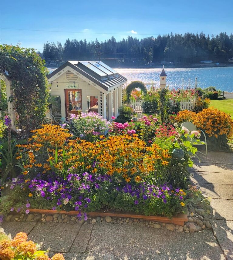 A Fall Season Tour of Our Pacific Northwest Cottage Style Garden ...