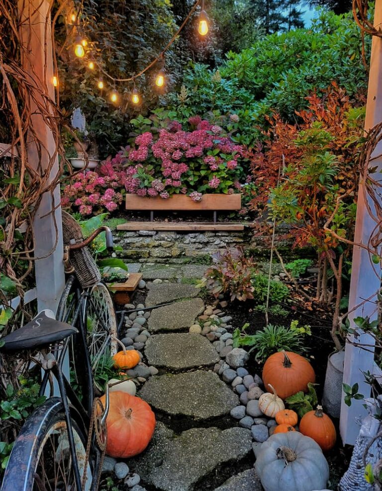 15 Ways to Prepare Your Garden for the Fall Season Transition - Shiplap ...