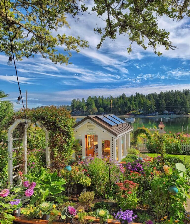 A Fall Season Tour of Our Pacific Northwest Cottage Style Garden ...