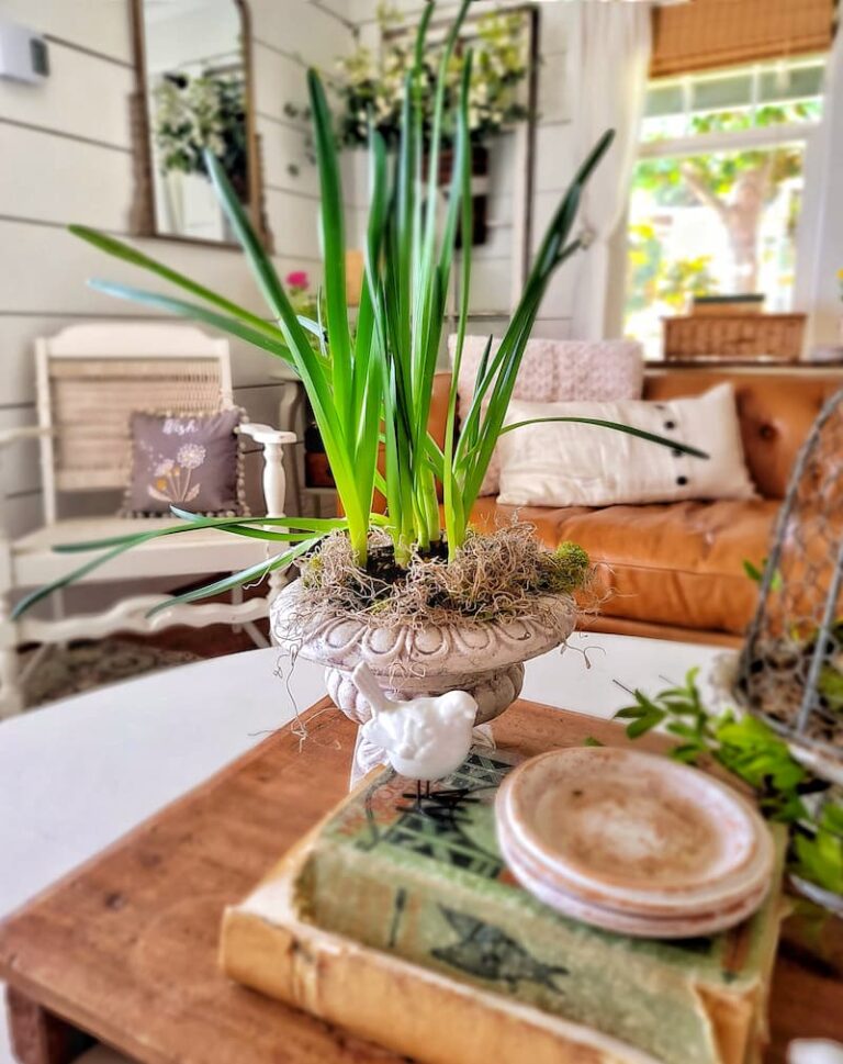 Celebrating Spring With a Cheerful Cottage Style Home Tour - Shiplap ...