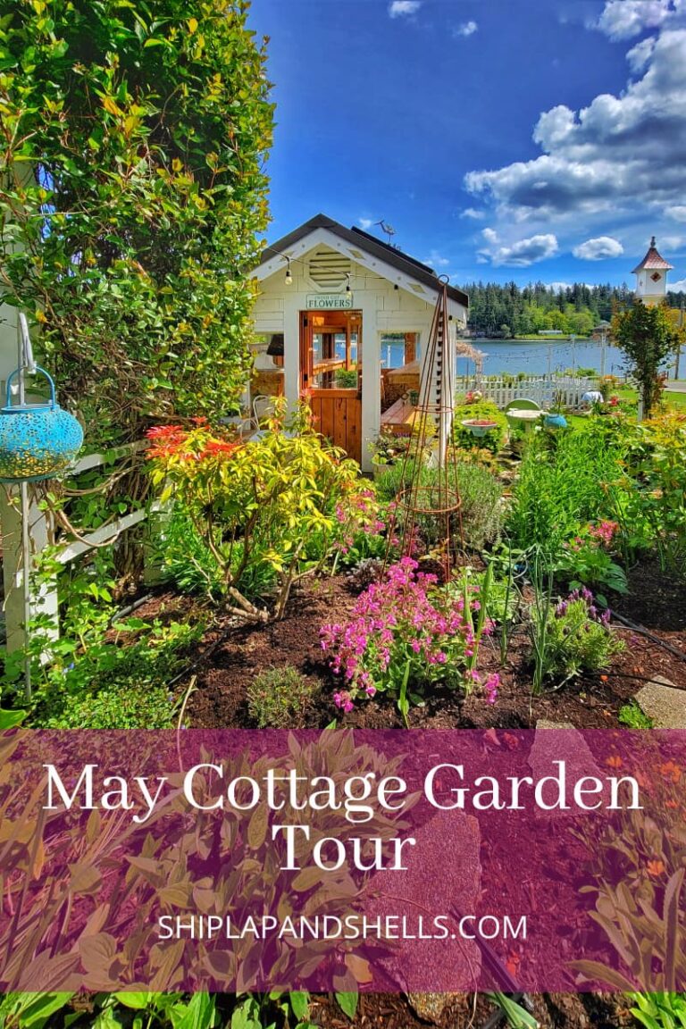 Mid-Spring PNW Cottage and Cut Flower Garden Tour For May - Shiplap and ...