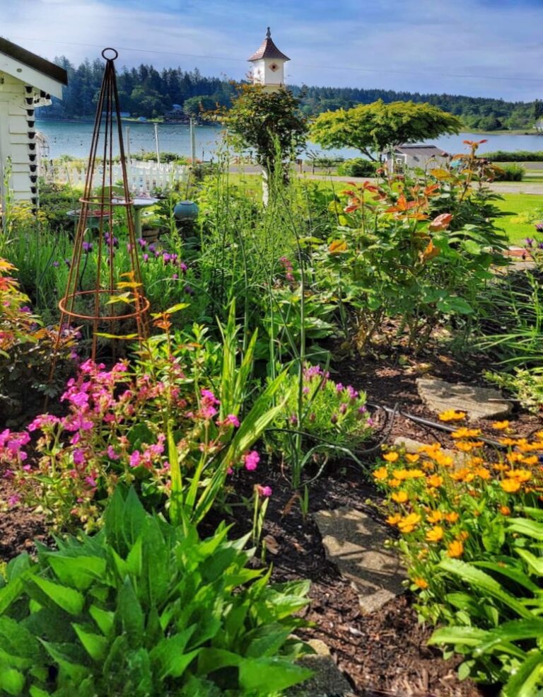 Tour My Charming Late-Spring Country Cottage Flower Garden - Shiplap ...