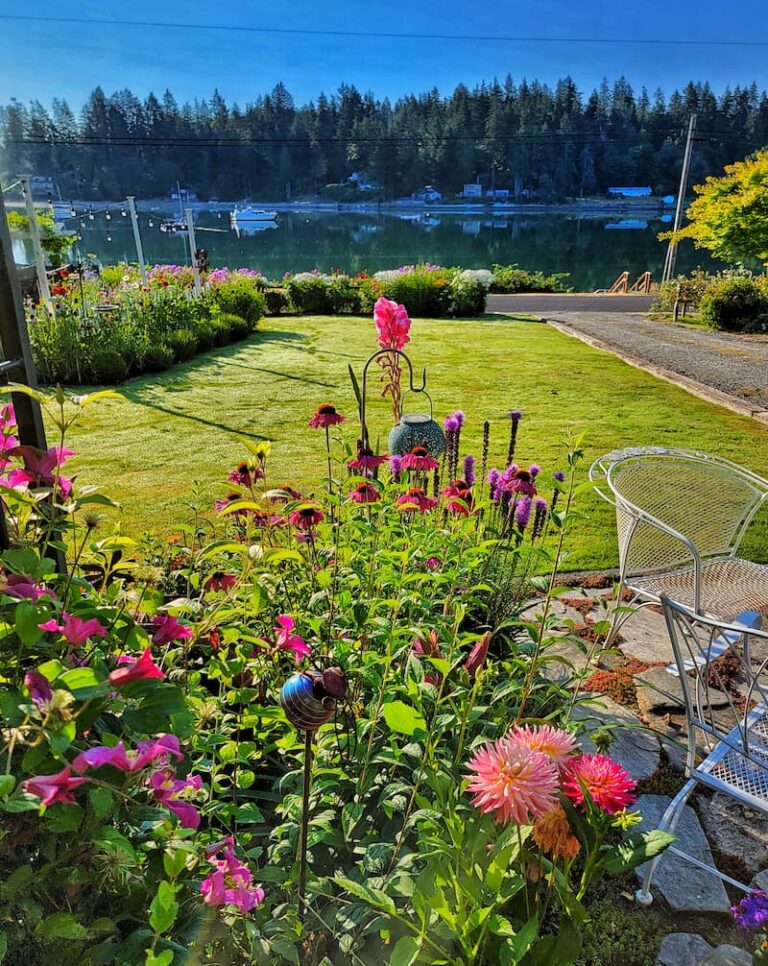 A Seasonal Summer PNW Cottage and Cut Flower Garden Tour - Shiplap and ...
