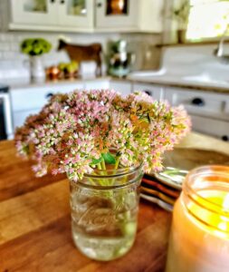 September Decorating Ideas: Budget-Friendly Ways to Transition to Fall ...