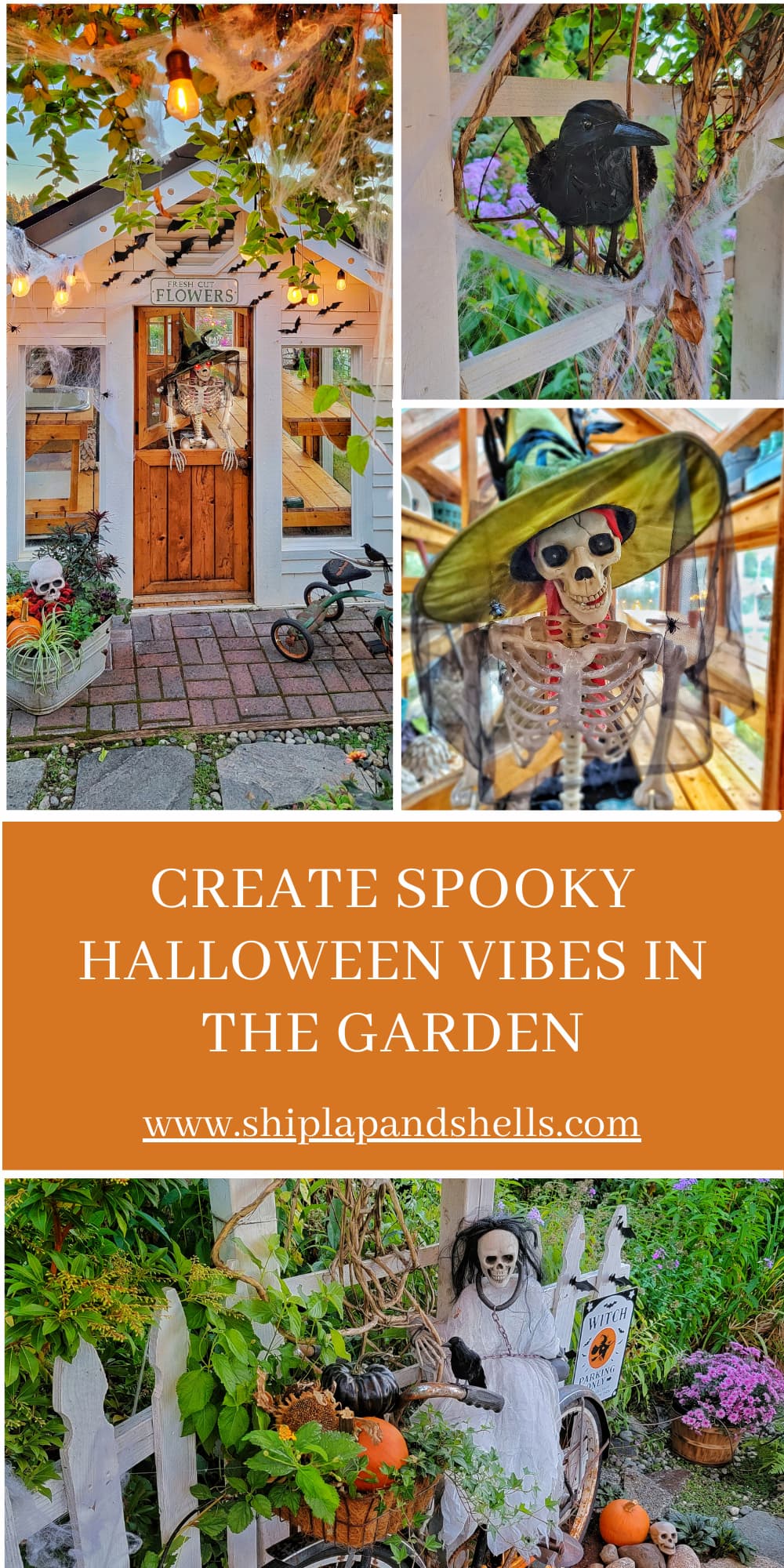 Create a Fun and Spooky Vibe in Your Garden This Halloween - Shiplap ...