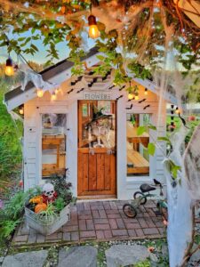 Create a Fun and Spooky Vibe in Your Garden This Halloween - Shiplap ...