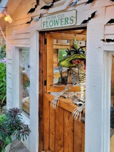 Create a Fun and Spooky Vibe in Your Garden This Halloween - Shiplap ...