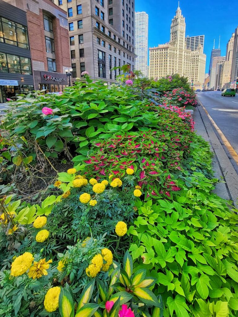 Why Early Fall Was the Perfect Time for a Visit to Chicago - Shiplap ...