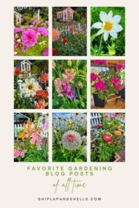 Enjoy Your Favorite Gardening Blog Posts of all Time - Shiplap and Shells