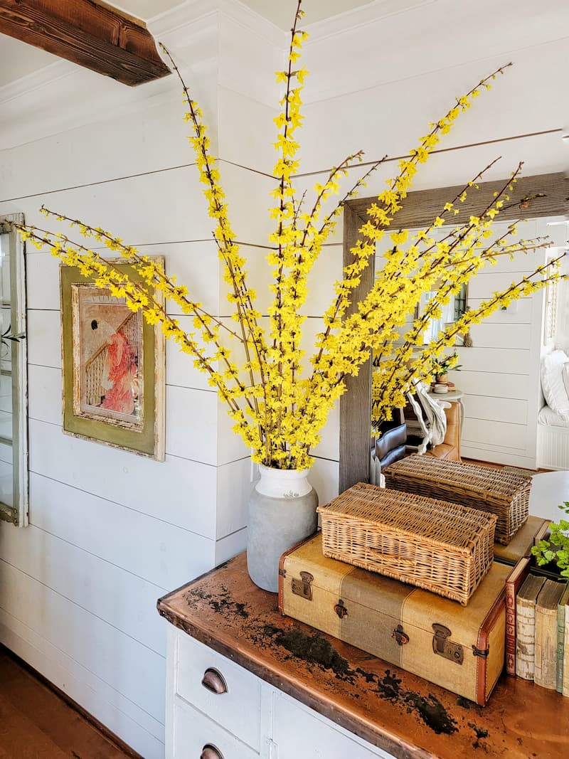 How to Force Flowering Branches to Bloom Indoors - Shiplap and Shells