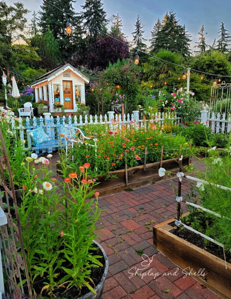 Grow Your Dream Garden: A Beginner’s Guide to Flower Gardening ...