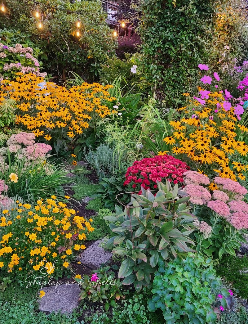 Dividing Perennials: Your Garden Guide to How, When, and Why - Shiplap ...