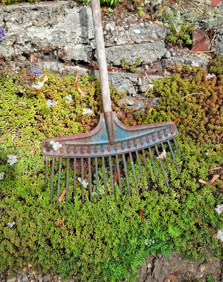 34 Charming Vintage and Antique Garden Decor Ideas - Shiplap and Shells