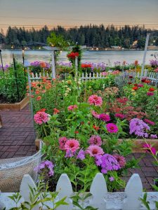 How to Plan a Stunning Cut Flower Garden Layout - Shiplap and Shells