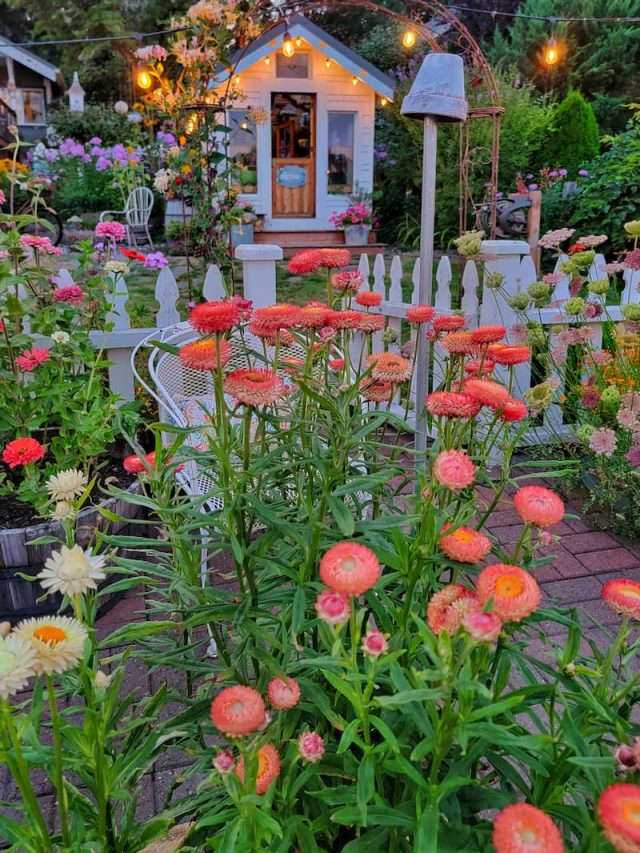 36 Thriving Deer-Resistant Plants for Peace of Mind in Your Garden ...