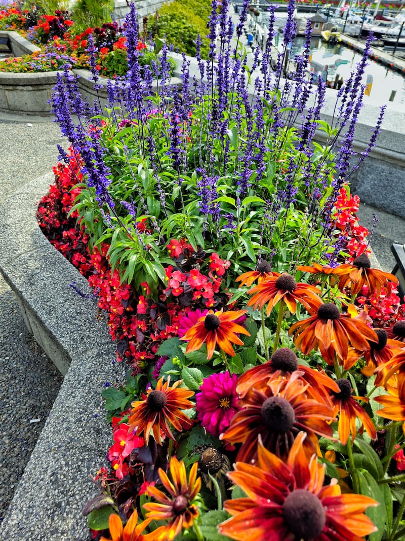 Fall Perennials That Will Give Your Cottage Garden the Wow Factor ...