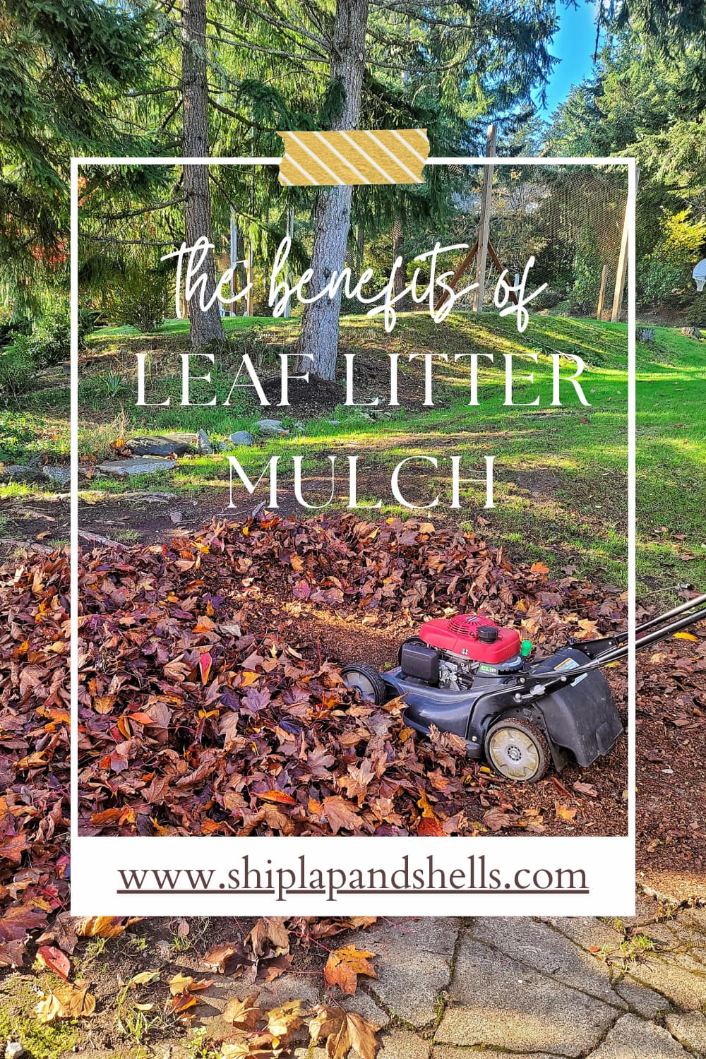 Benefits of Leaf Litter Mulch in the Garden and How to Make It ...