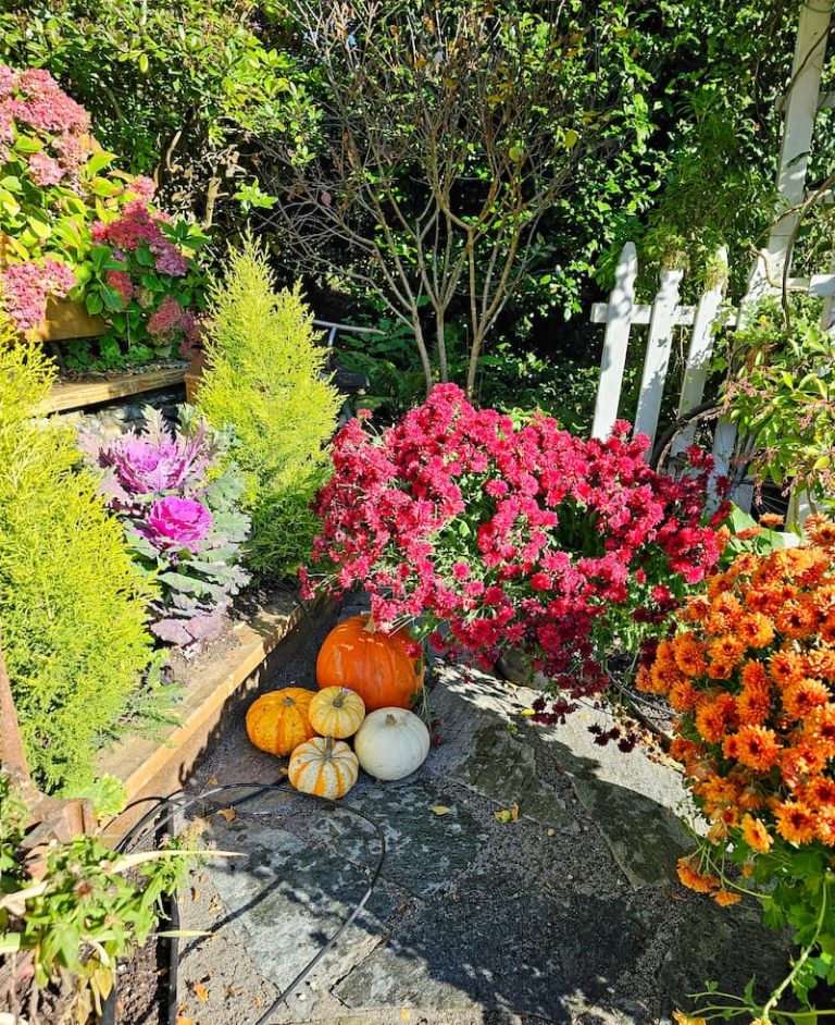30 Easy Outdoor Fall Decorating Ideas to Try This Season - Shiplap and ...