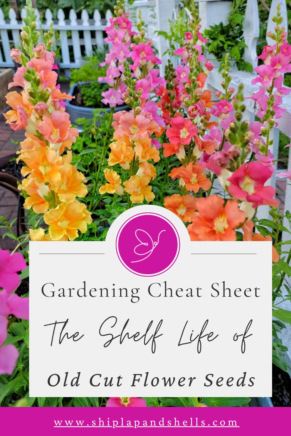 How Long Old Seeds Last: Flower Seed Viability Chart - Shiplap and Shells