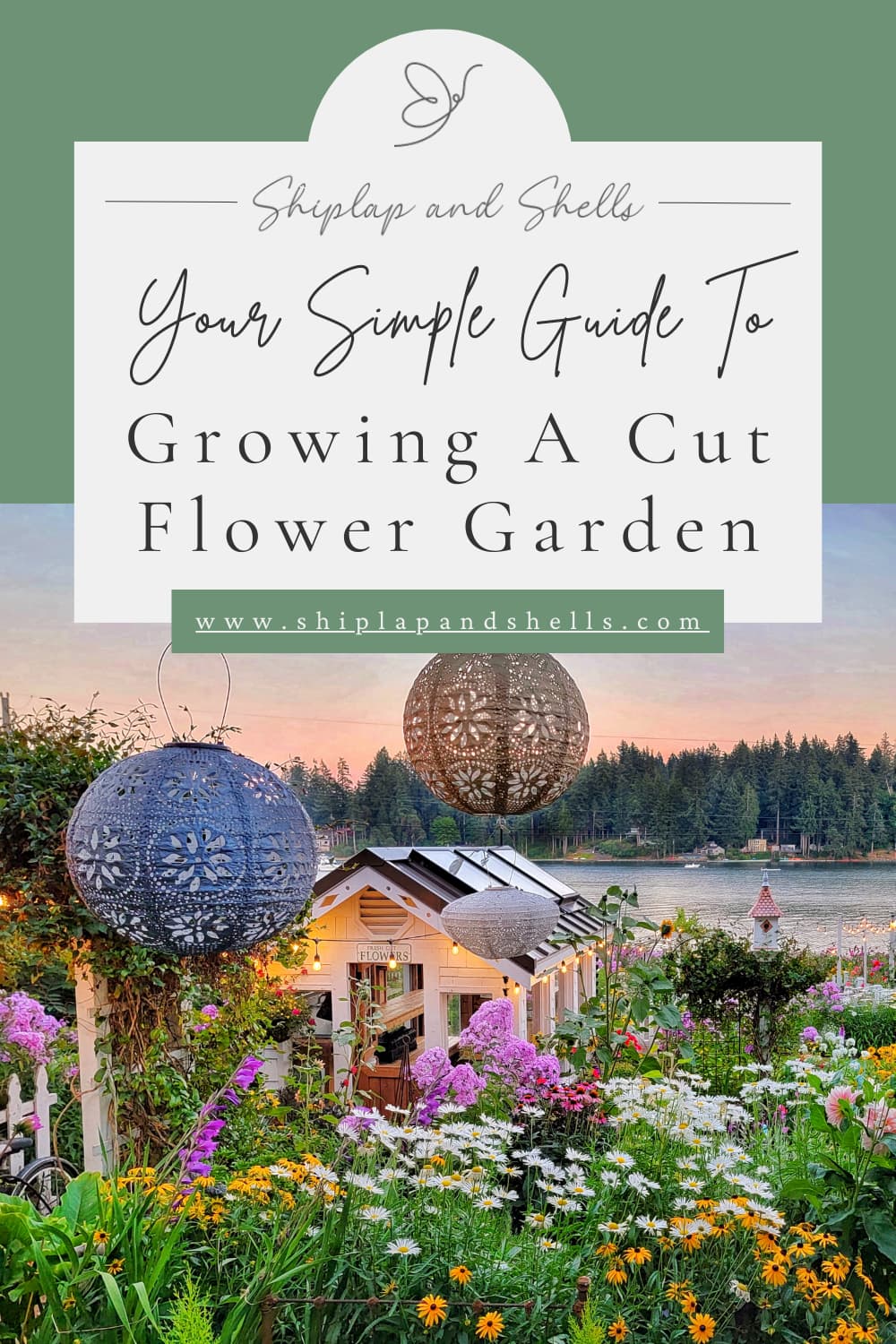 Growing Cut Flowers from Seed: A Beginner's Guide to Seed Starting ...