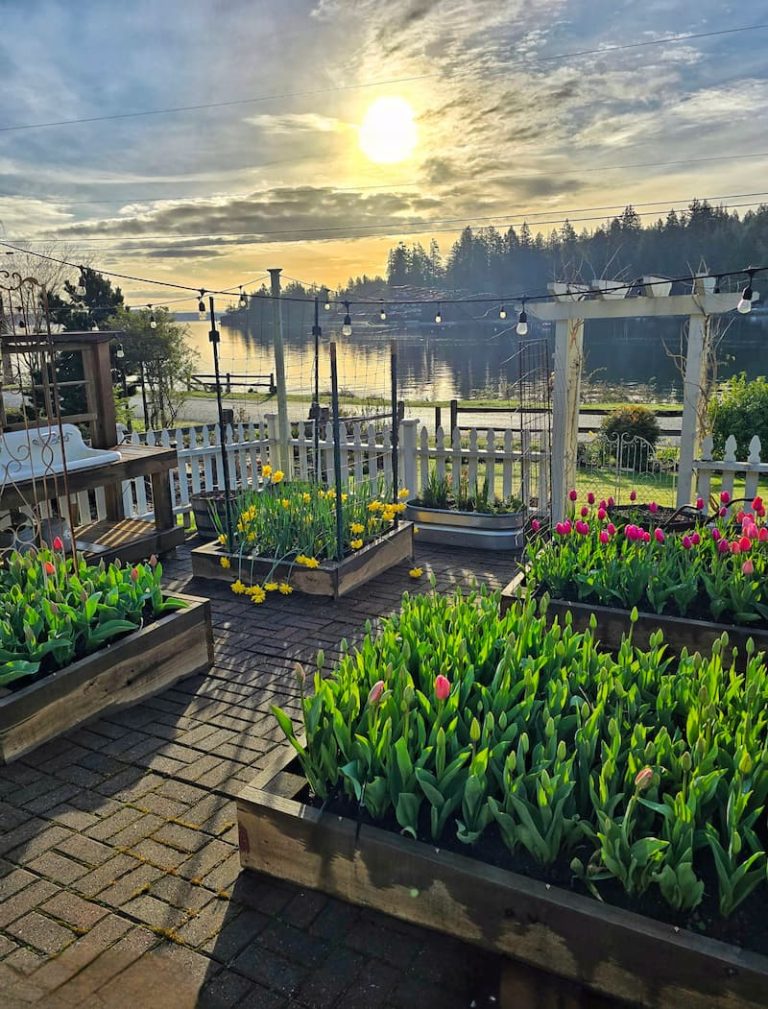 How to Weed the Garden: Best Natural Management Tips - Shiplap and Shells