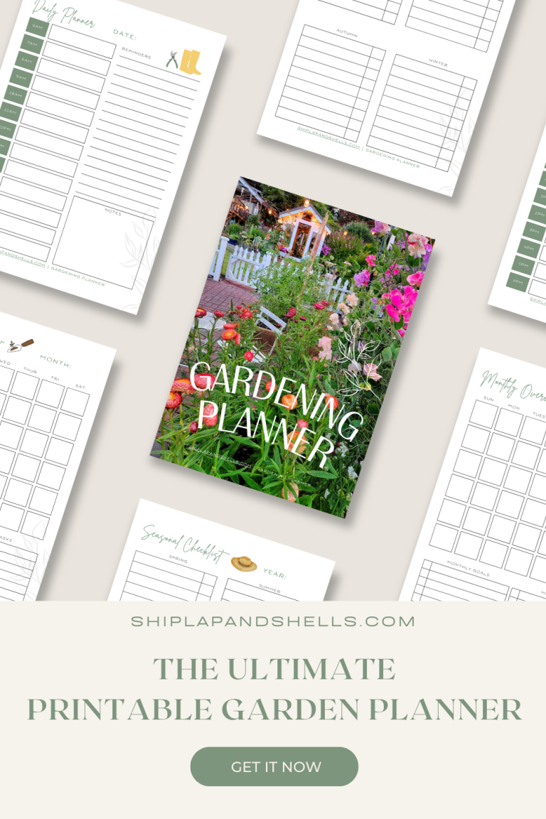 Grow Your Dream Garden: A Beginner’s Guide to Flower Gardening ...