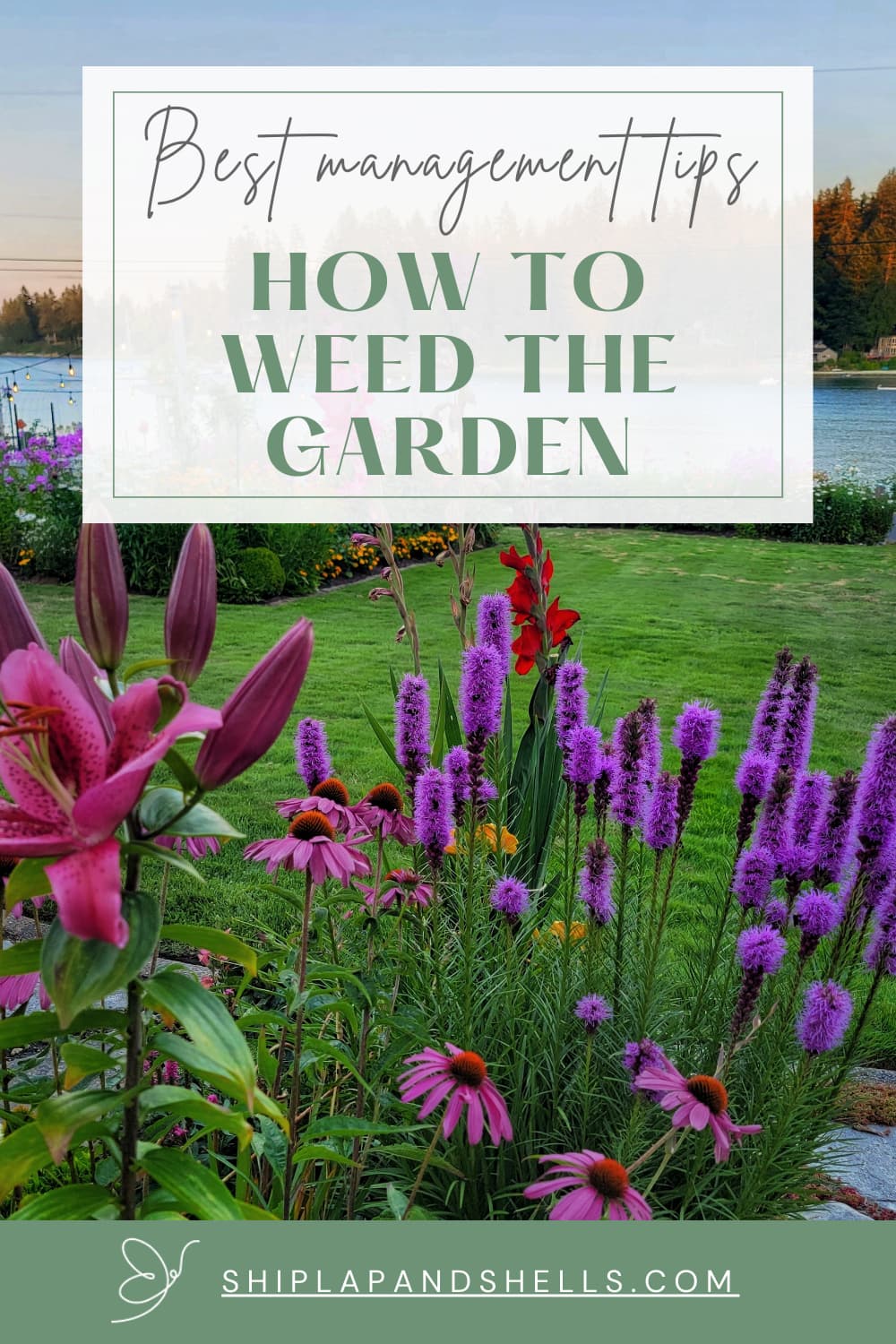 How to Weed the Garden: Best Natural Management Tips - Shiplap and Shells
