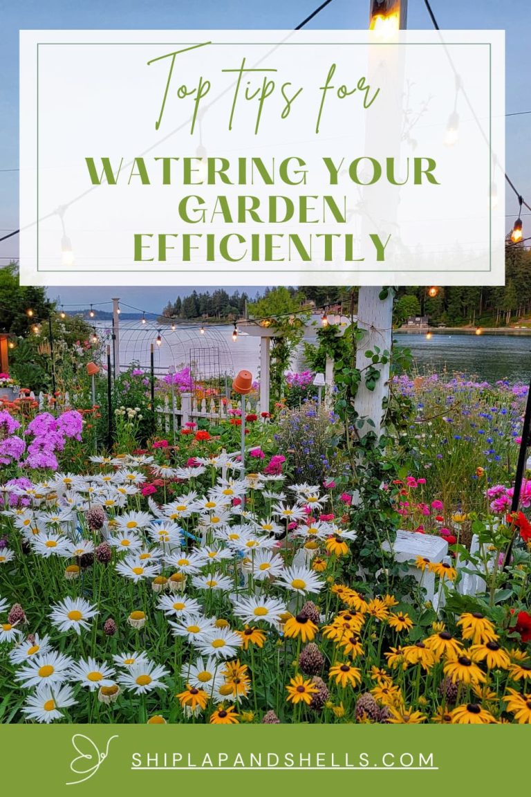 Top Tips for Watering Your Flower Garden Efficiently - Shiplap and Shells