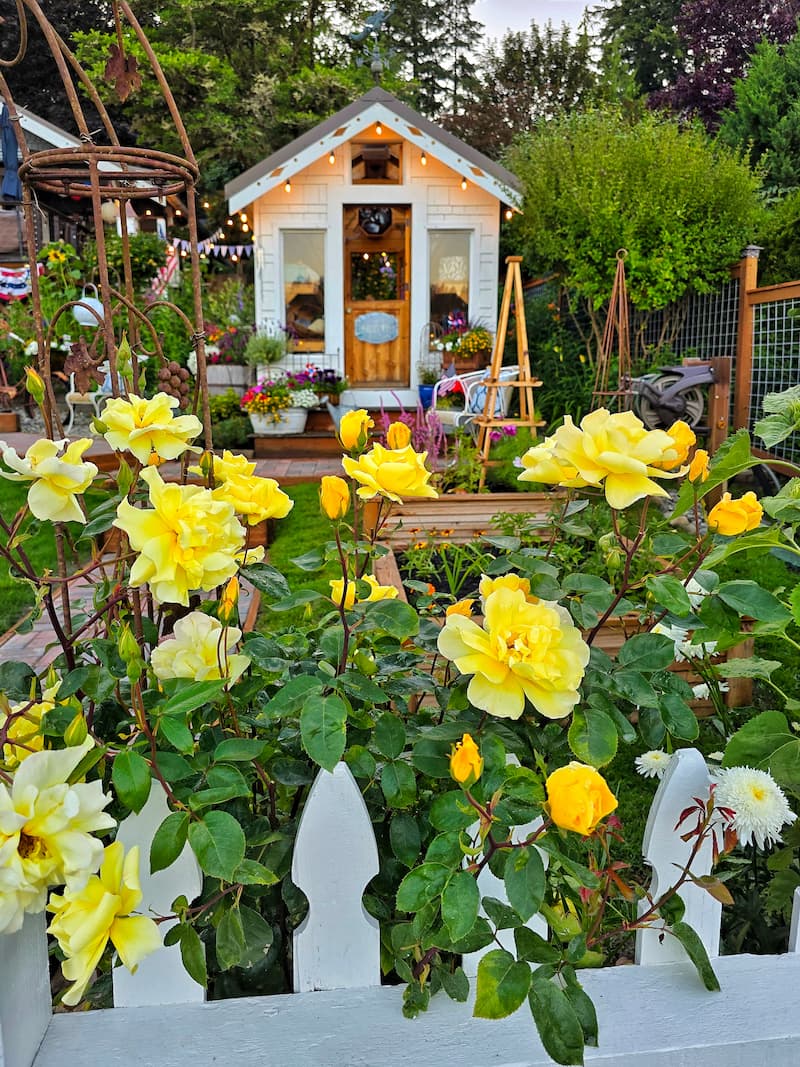 Deadheading Flowers Made Easy: A Step-by-Step Garden Guide - Shiplap ...