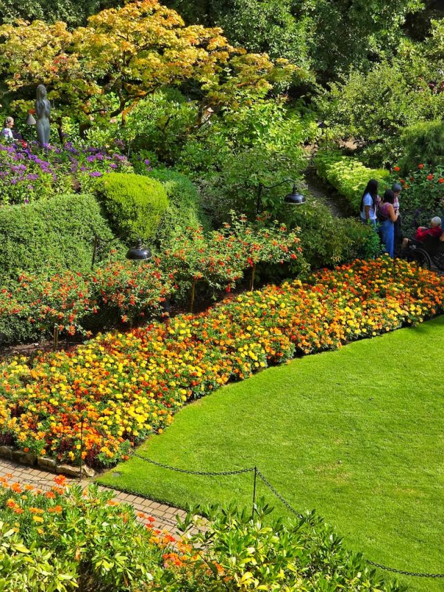 Fall in Love with the Magic of the Butchart Gardens - Shiplap and Shells